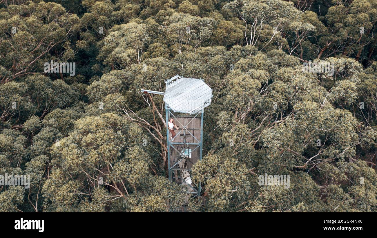 Gloucester tree in gloucester national hi-res stock photography and ...