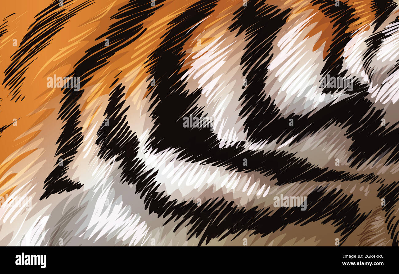 A tiger texture Stock Vector Image & Art - Alamy