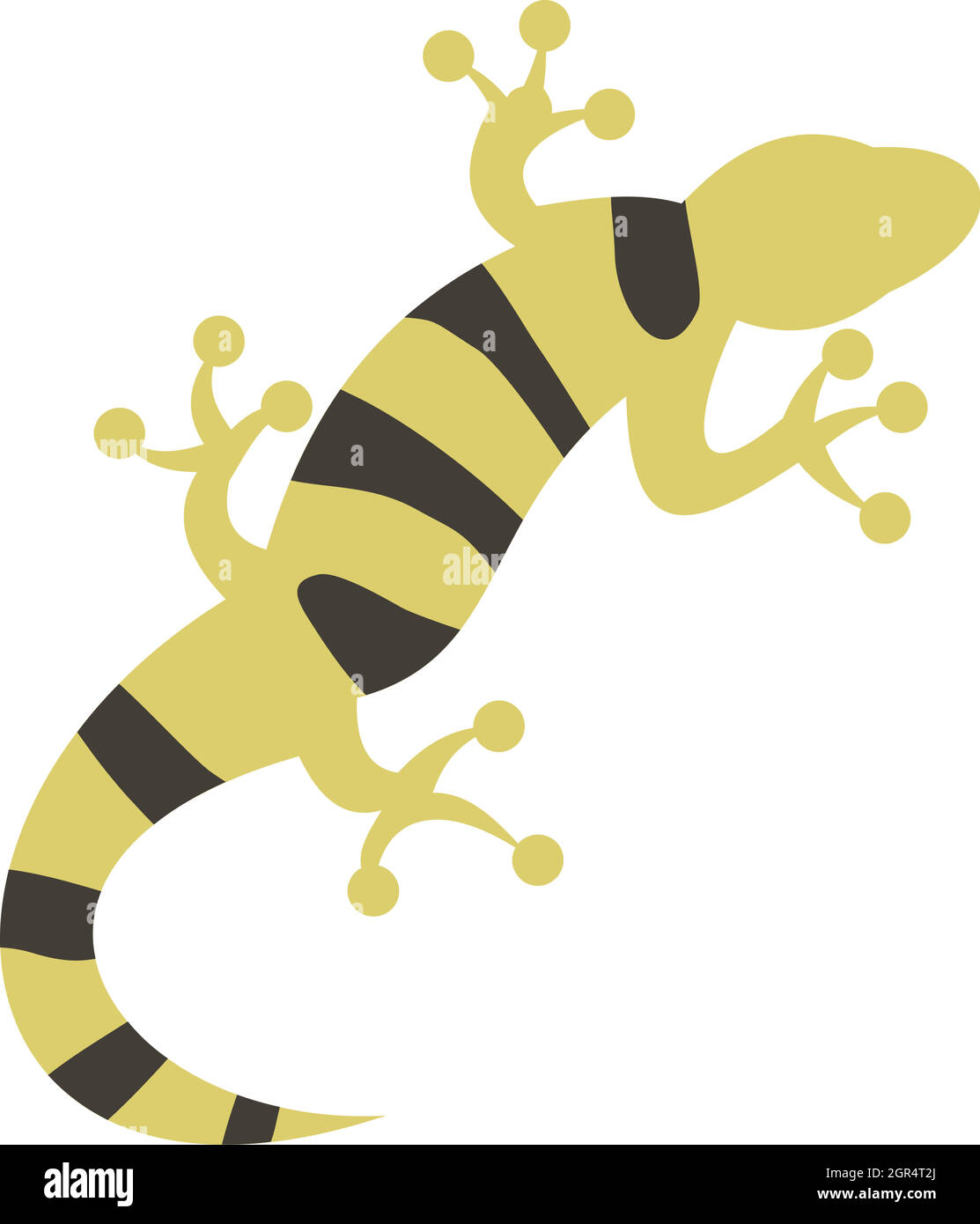 Salamander Stock Vector Images - Alamy
