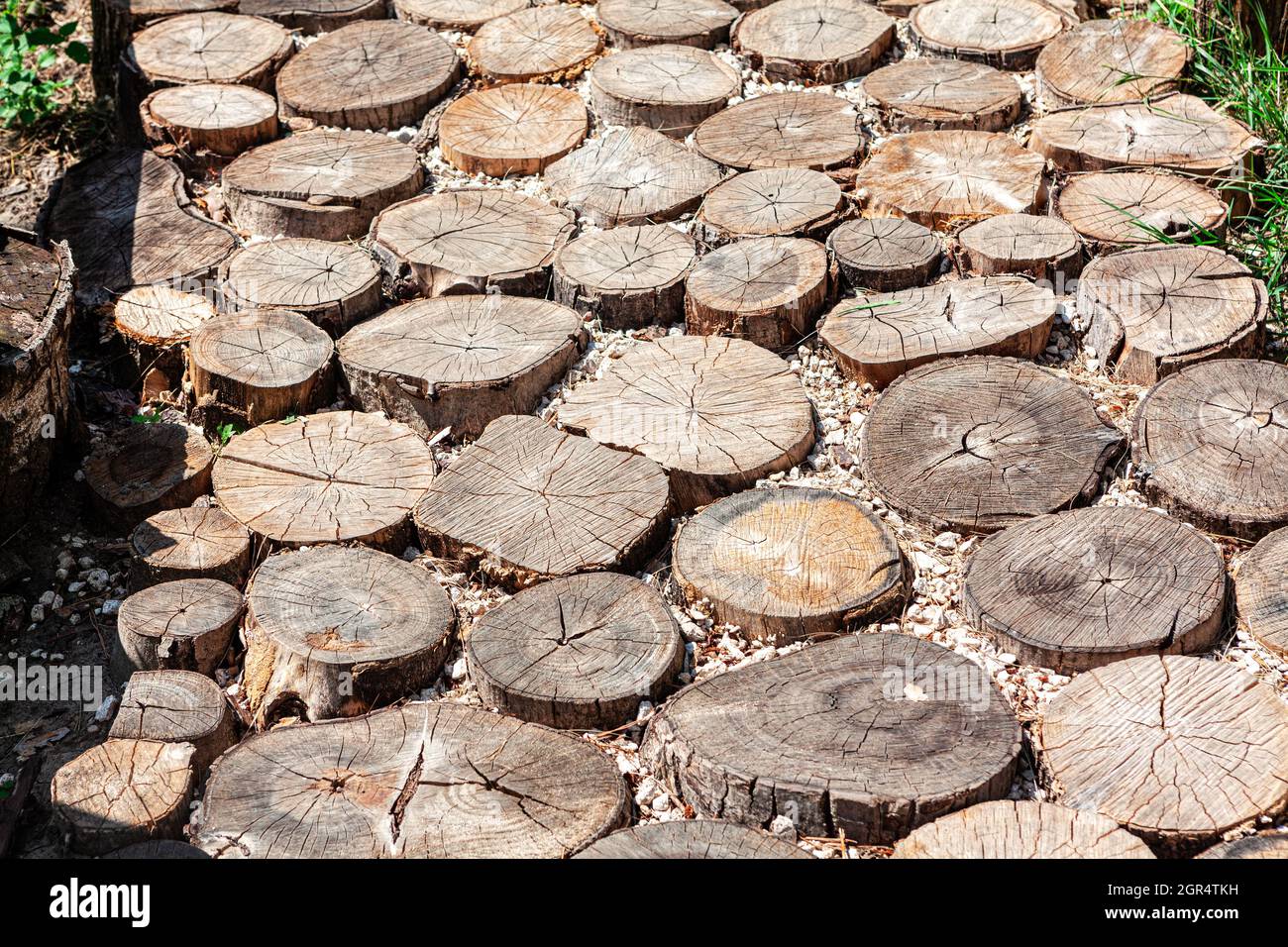 Wooden paving stone . Walking path made by wooden cut circles Stock ...