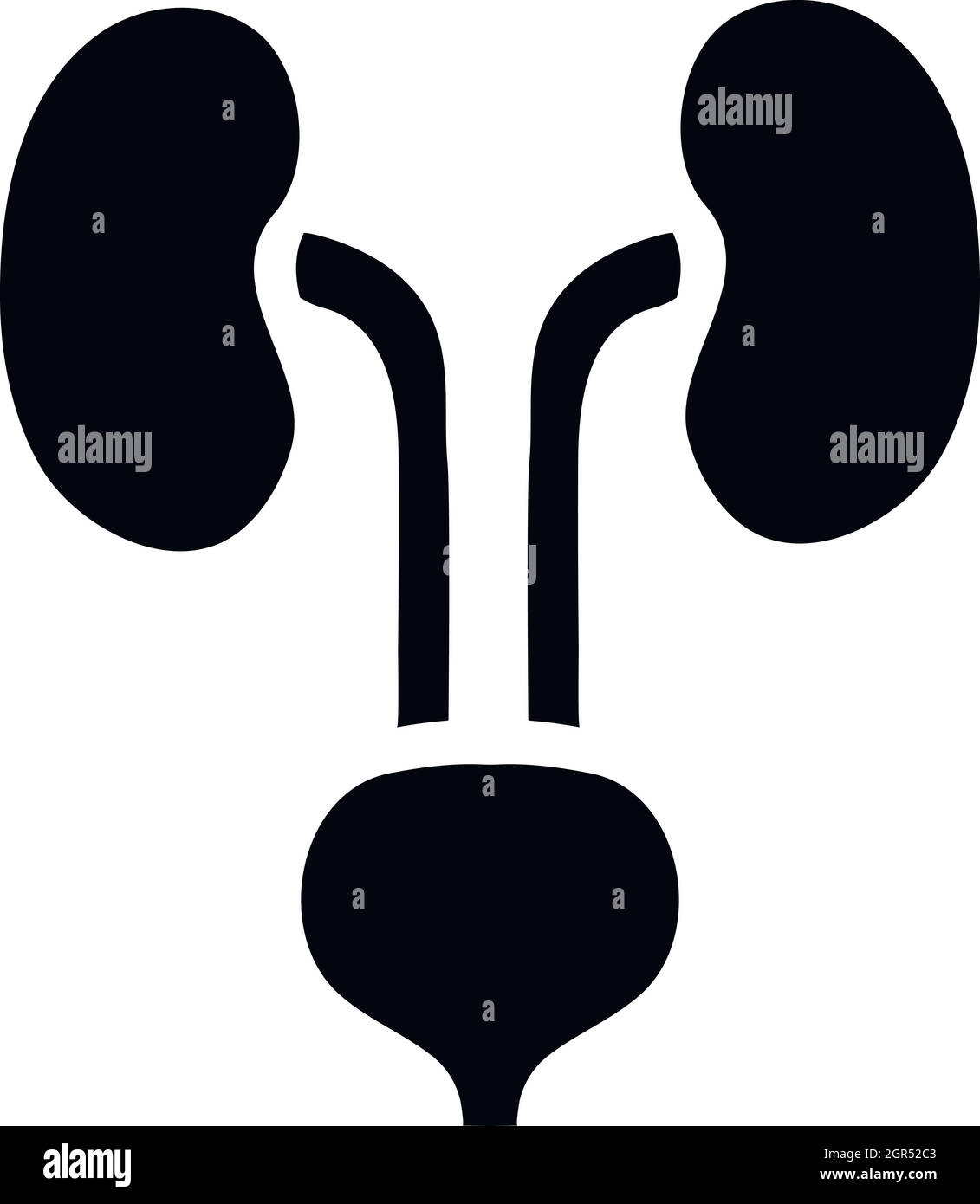 Human kidneys and bladder icon, simple style Stock Vector Image & Art ...