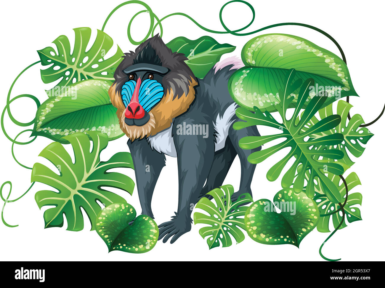 Drawing illustration art baboon hi-res stock photography and images - Alamy