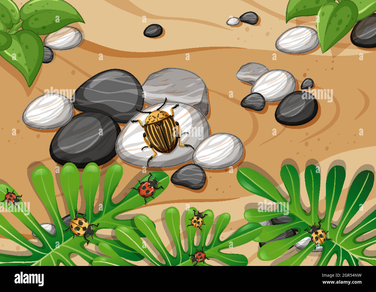 Aerial wildlife view Stock Vector Images - Alamy