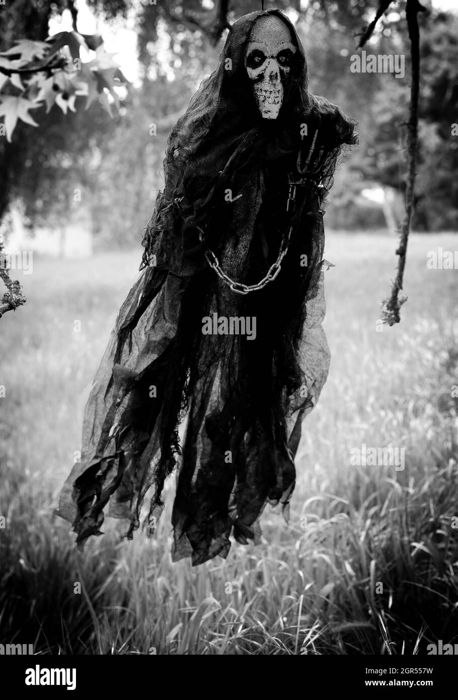 Death figure hi-res stock photography and images - Alamy