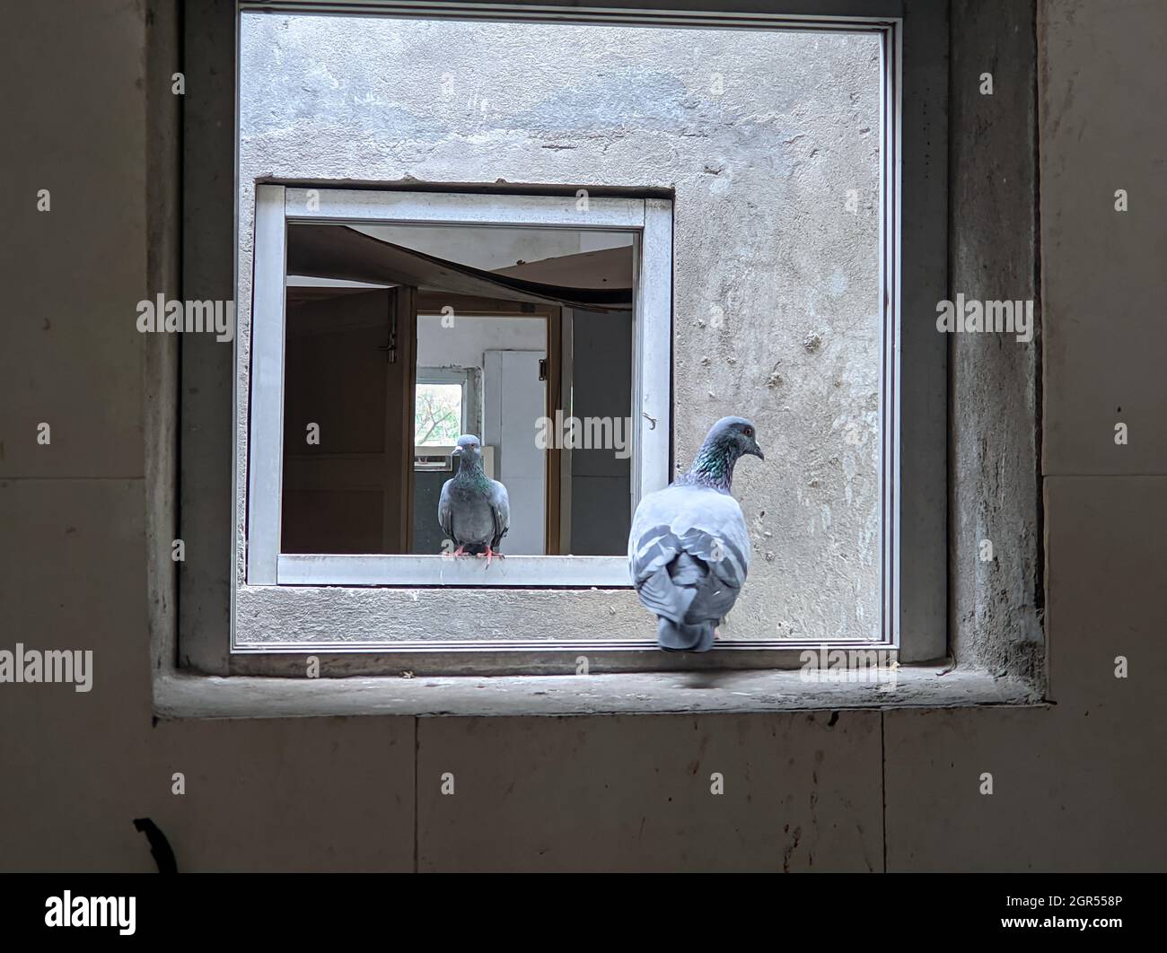 Open wing windows hi-res stock photography and images - Alamy