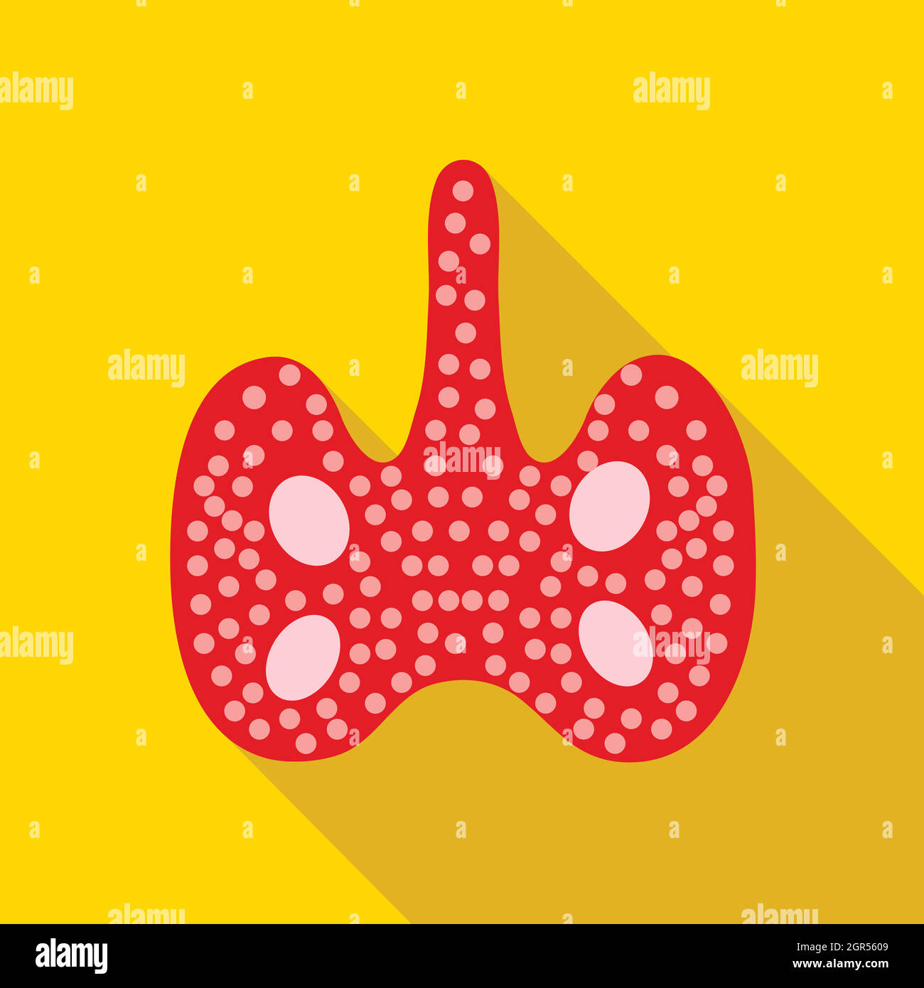 Parathyroid gland hi-res stock photography and images - Alamy