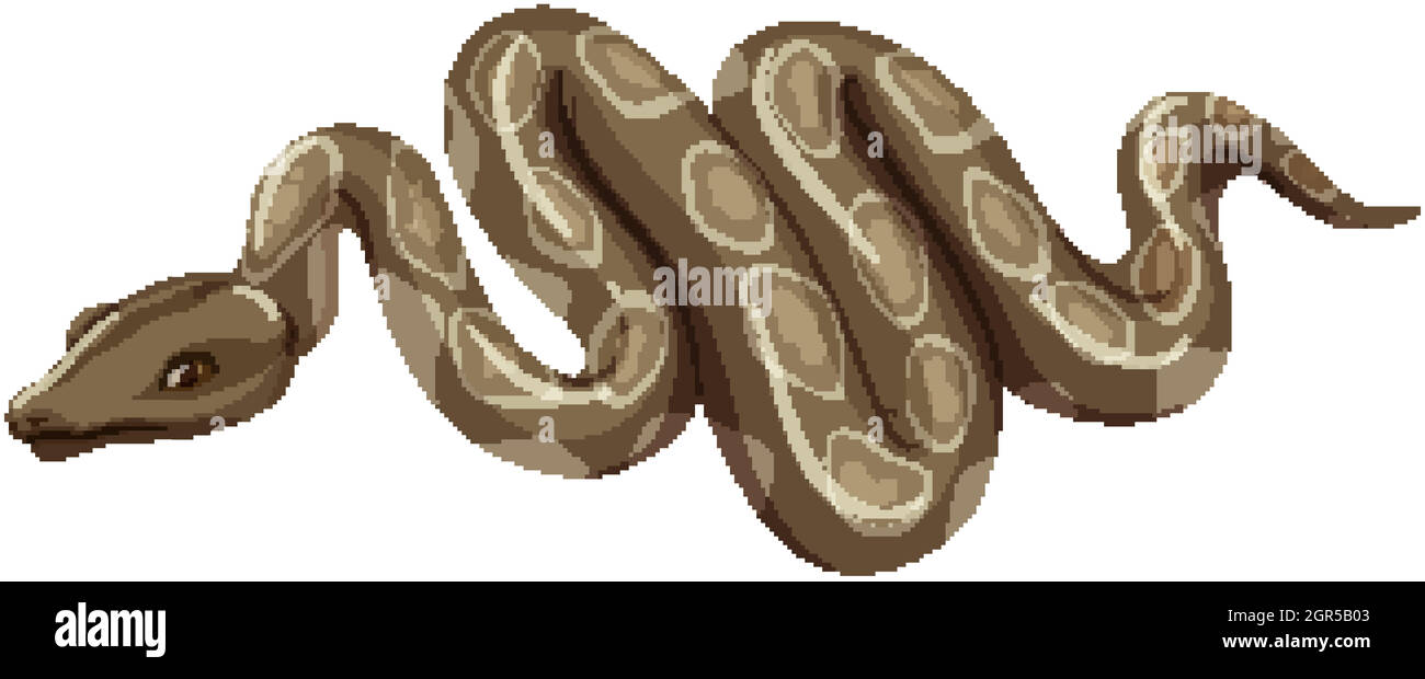 A snake in cartoon style isolated on white background Stock Vector ...