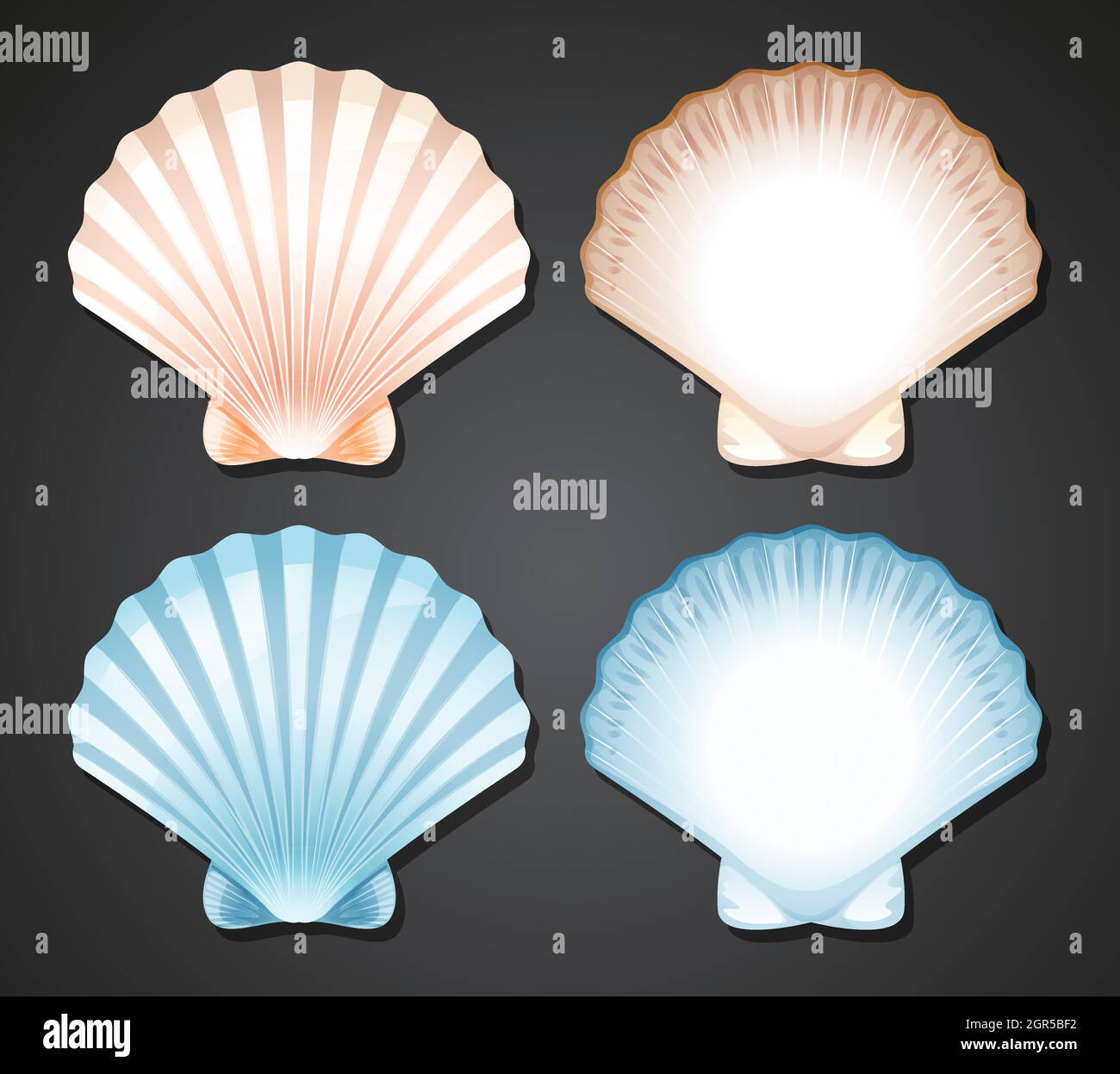 Scallop background Stock Vector Images - Alamy