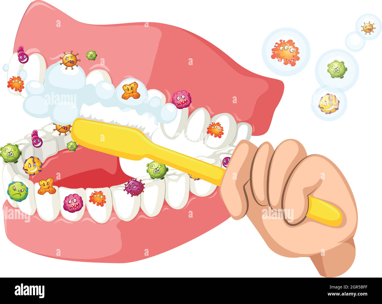Brushing teeth and cleaning out bacteria Stock Vector Image & Art - Alamy