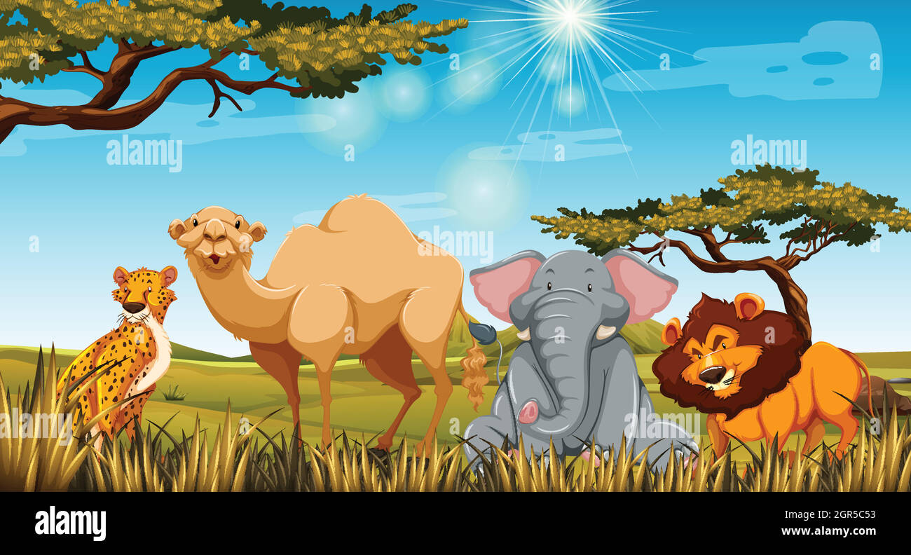 Wild animals in the field at daytime Stock Vector Image & Art - Alamy