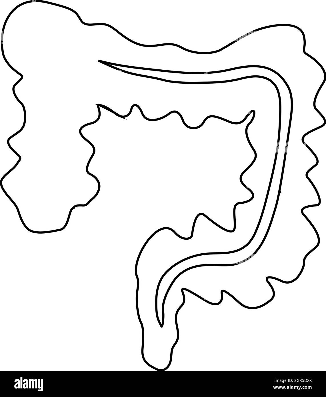 Human small intestines hi-res stock photography and images - Alamy