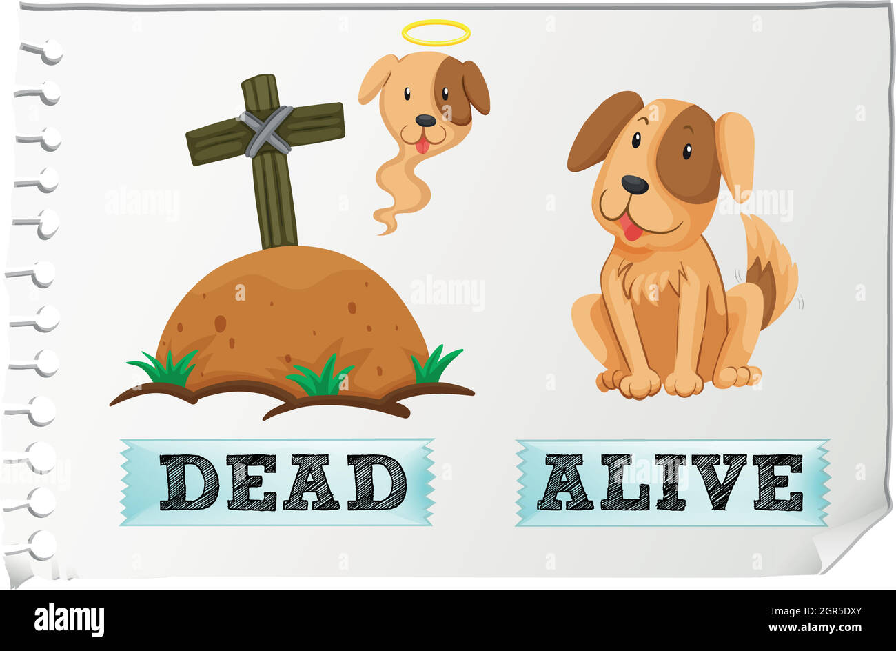 Both alive dead Cut Out Stock Images & Pictures - Alamy
