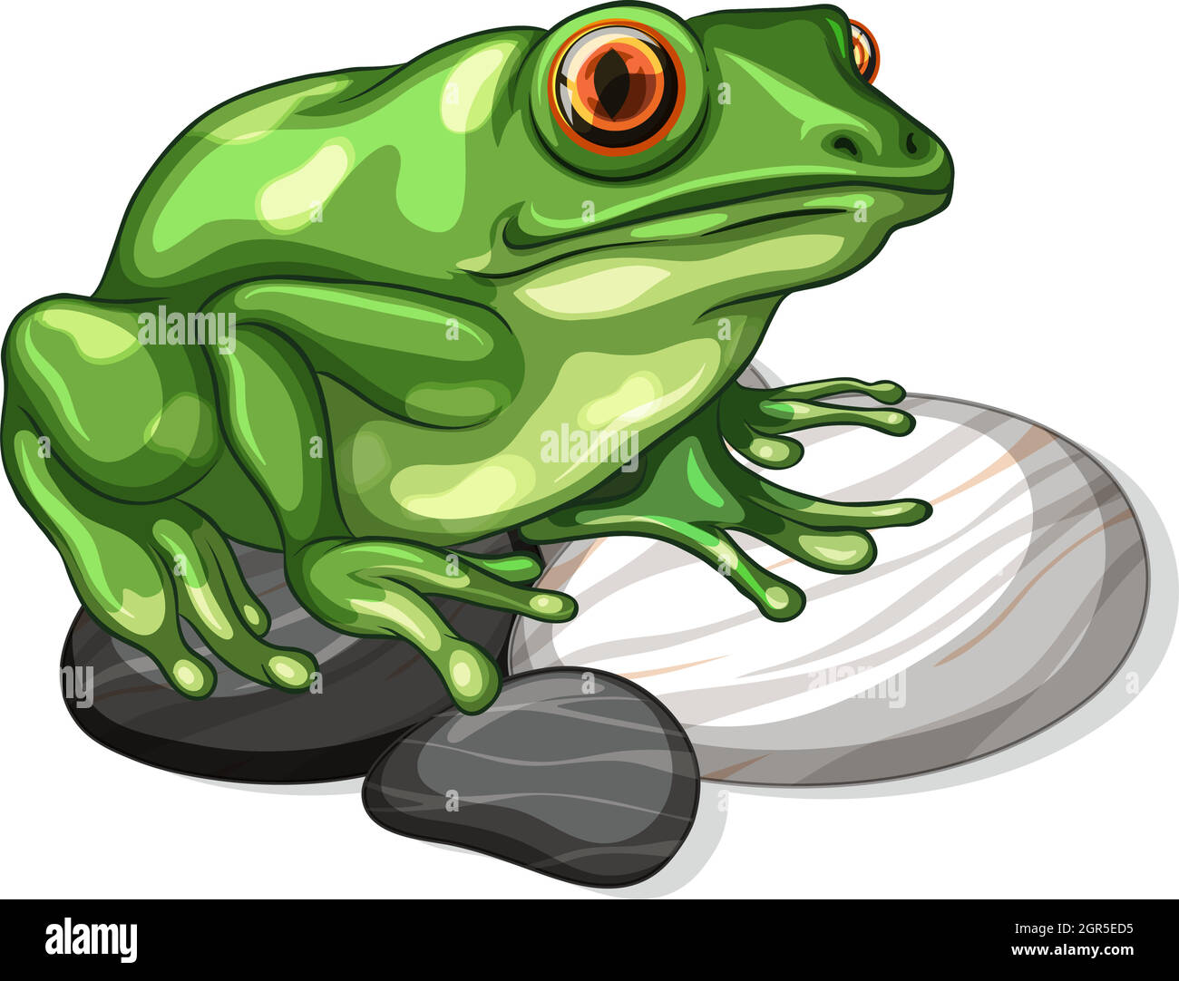 Tree frog on a leaf Stock Vector Images - Alamy