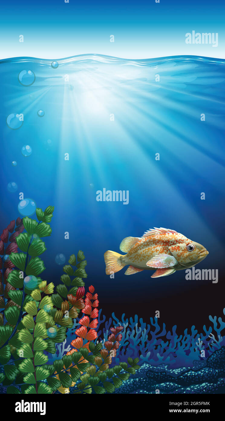 Fish plants Stock Vector Images - Alamy