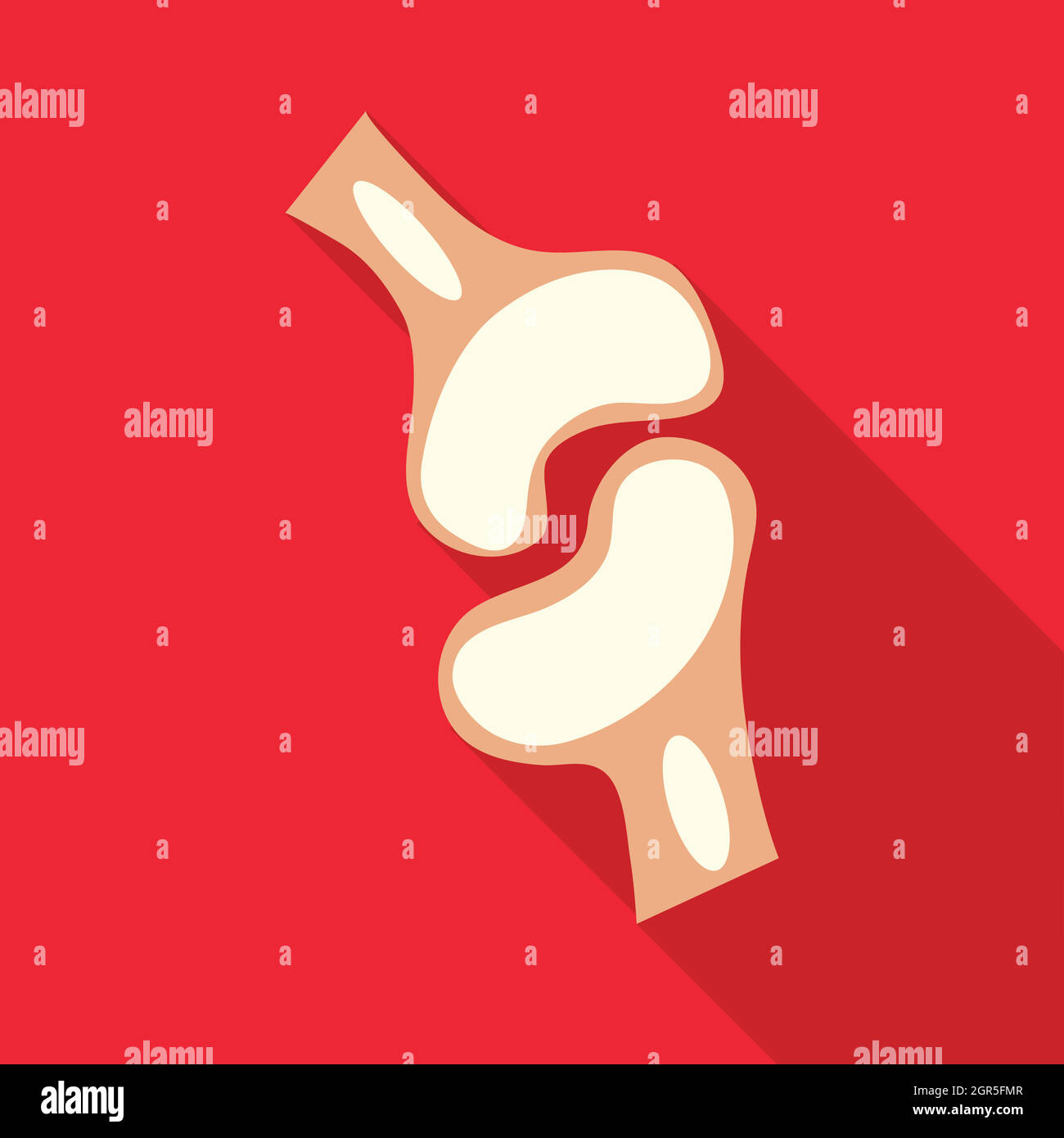 Long bones Stock Vector Images - Alamy
