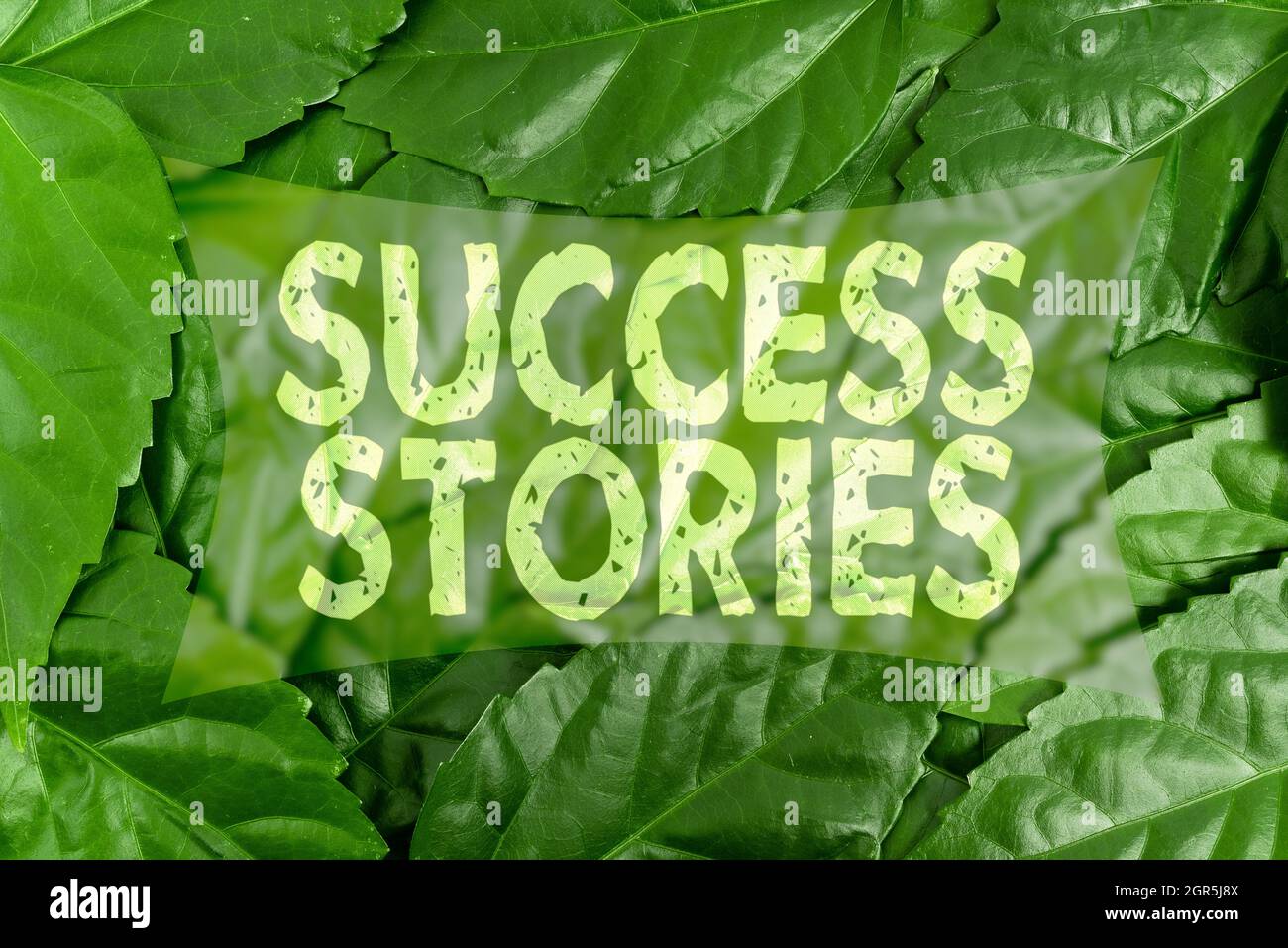 Conceptual display Success Stories. Business idea story of something or ...