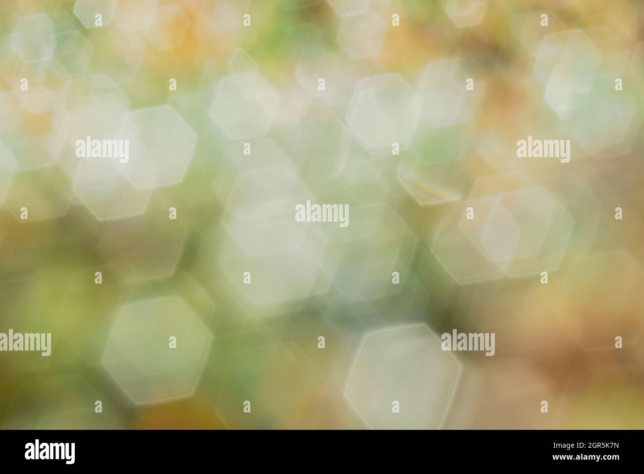 Trapezium High Resolution Stock Photography and Images - Alamy