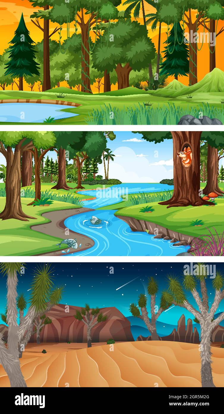 Different types of forest horizontal scenes Stock Vector Image & Art ...