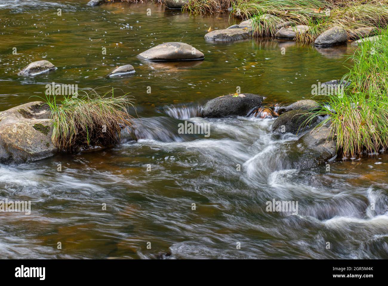 Willard state park hi-res stock photography and images - Alamy