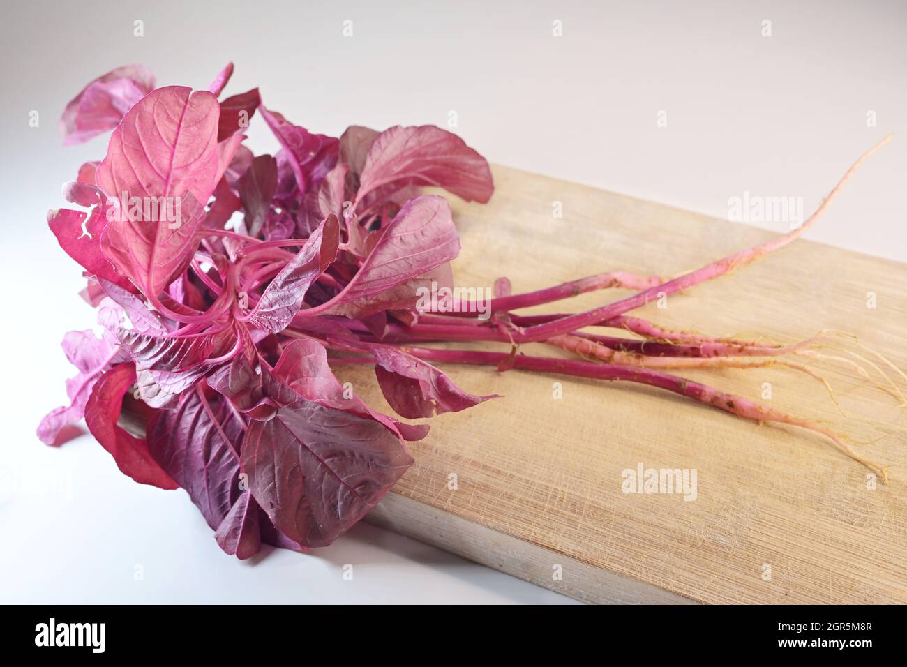 The red spinach, Amaranthus dubius, gets its name from its bright, red ...