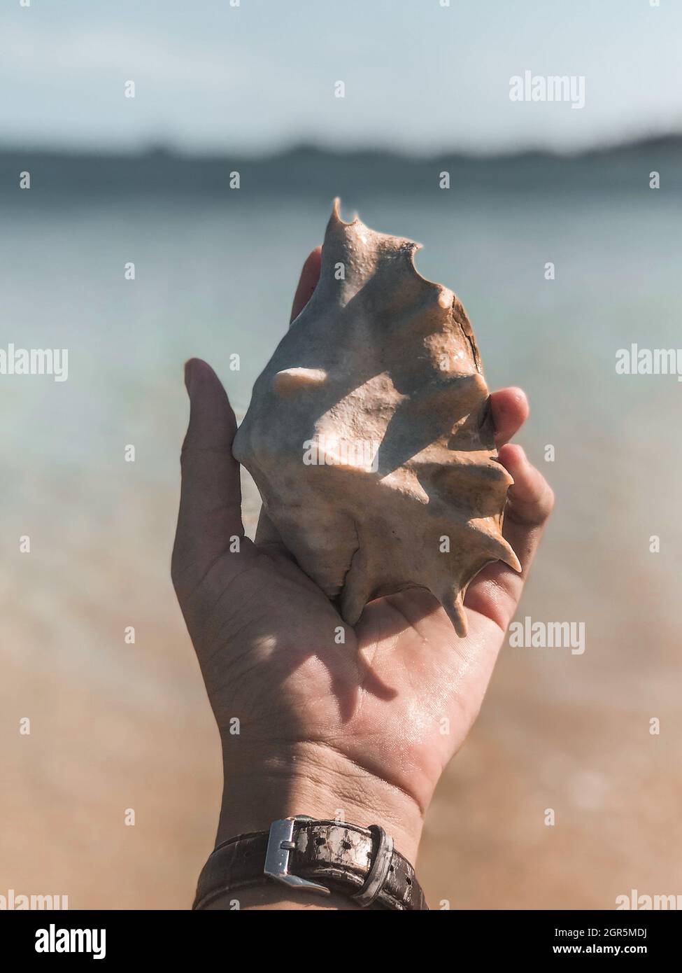 6th bridge hi-res stock photography and images - Alamy