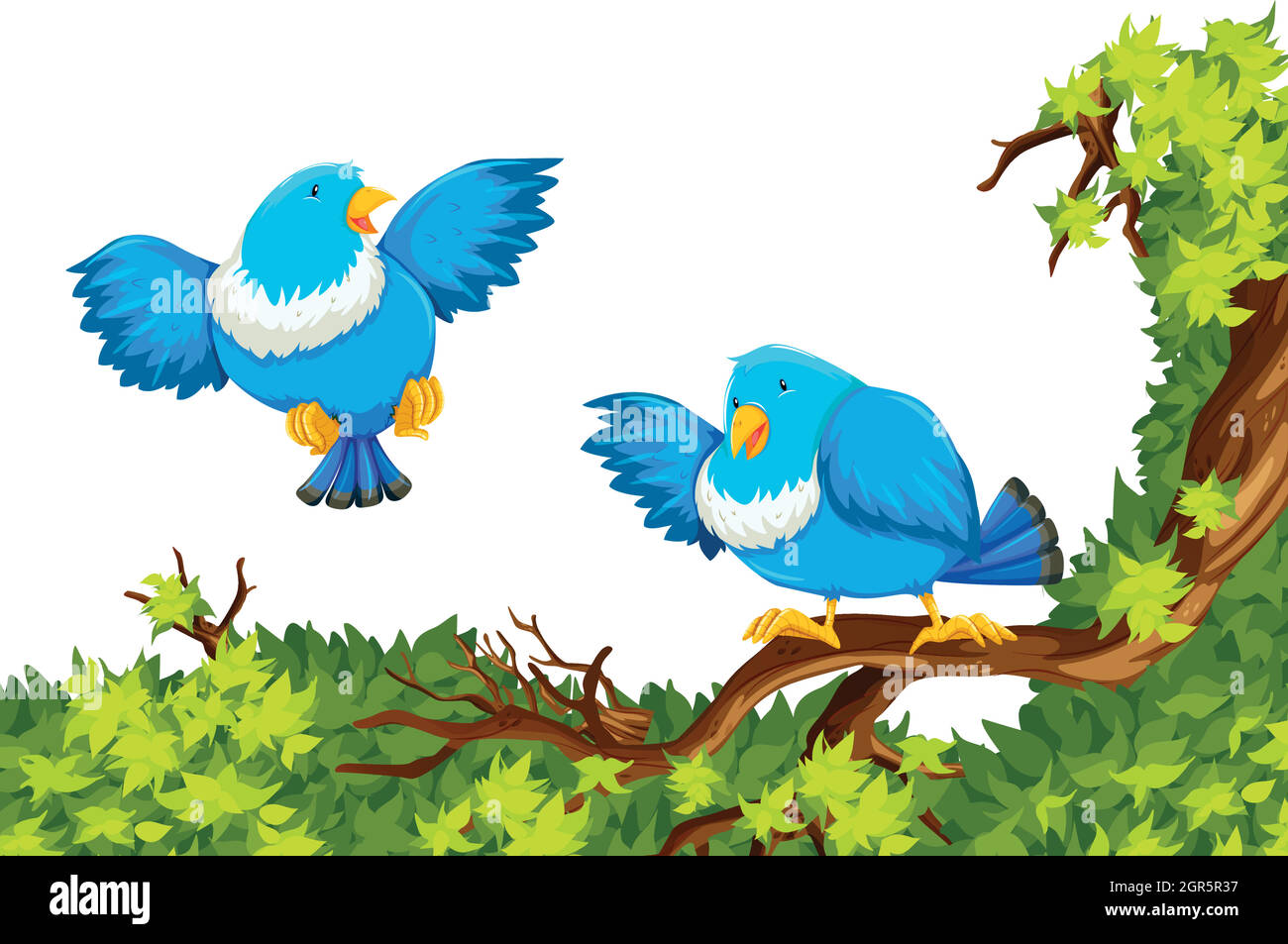 Blue birds on the branch Stock Vector Image & Art - Alamy