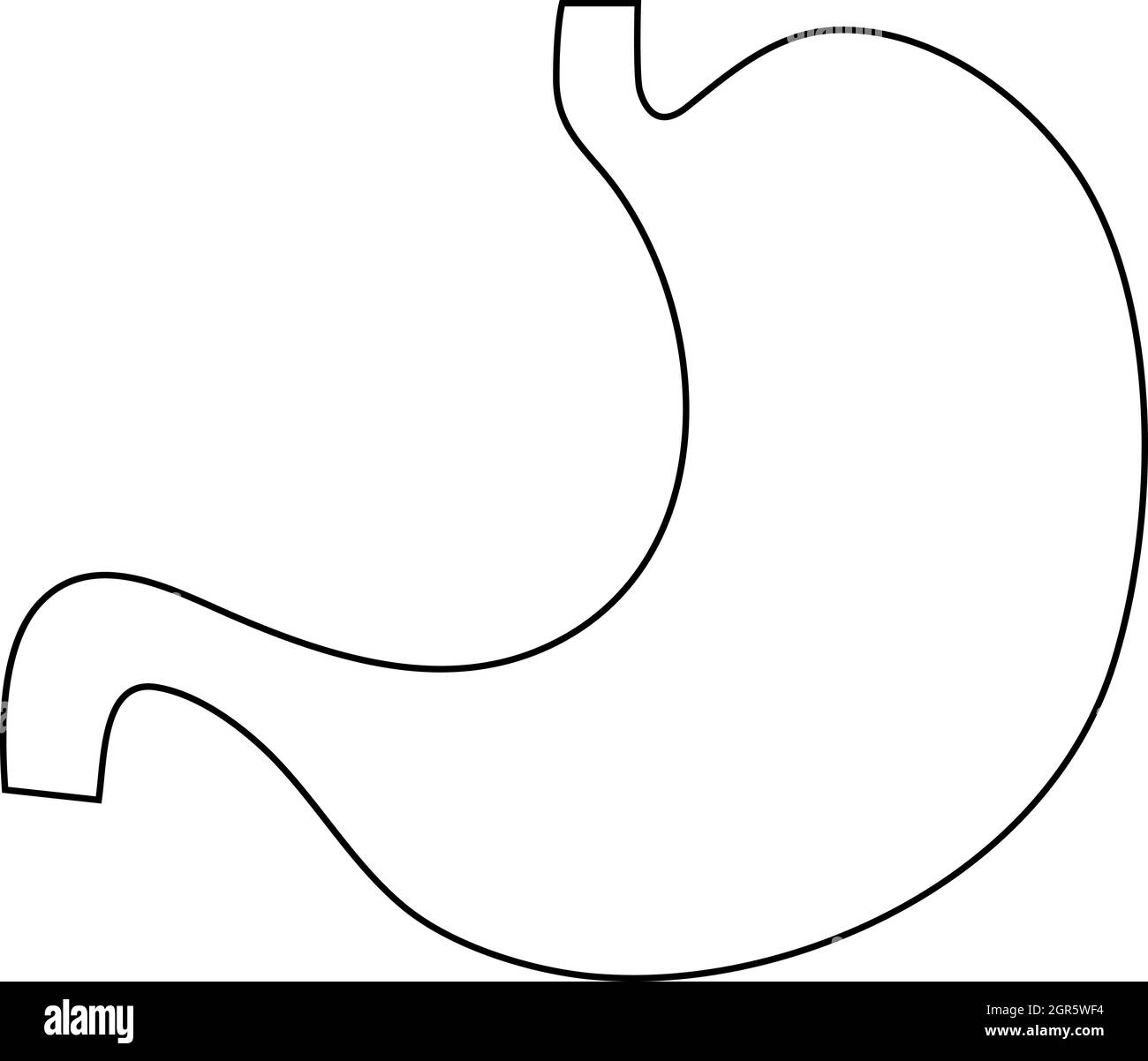 Human Stomach Icon Outline Style Stock Vector Image And Art Alamy