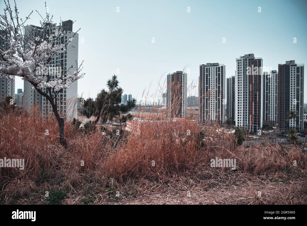 Incheon city downtown hi-res stock photography and images - Alamy