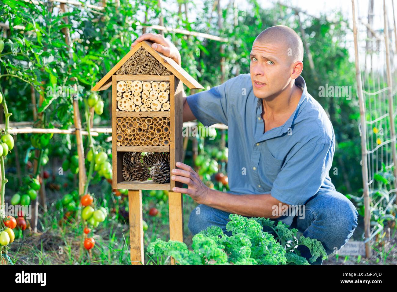Organic farmer working in his garden during summer season Stock Photo ...