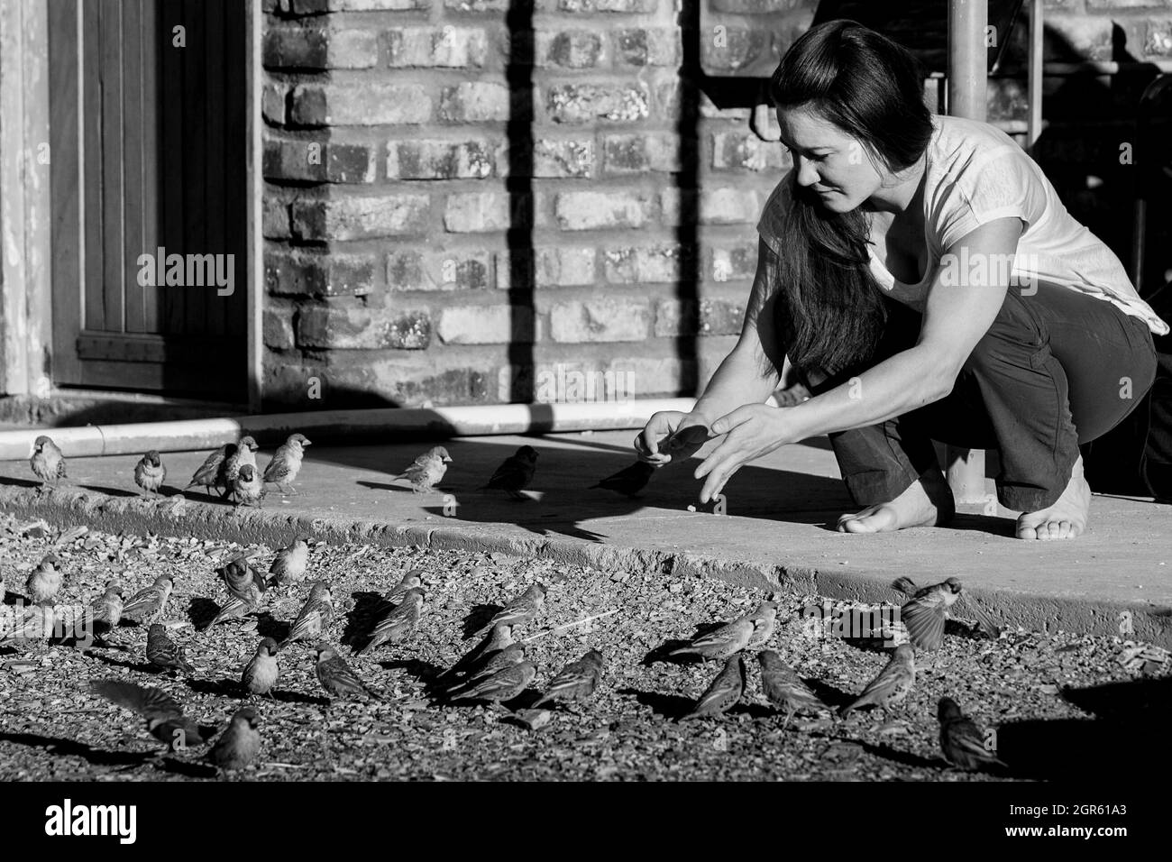 Real birds and wildlife Black and White Stock Photos & Images - Alamy