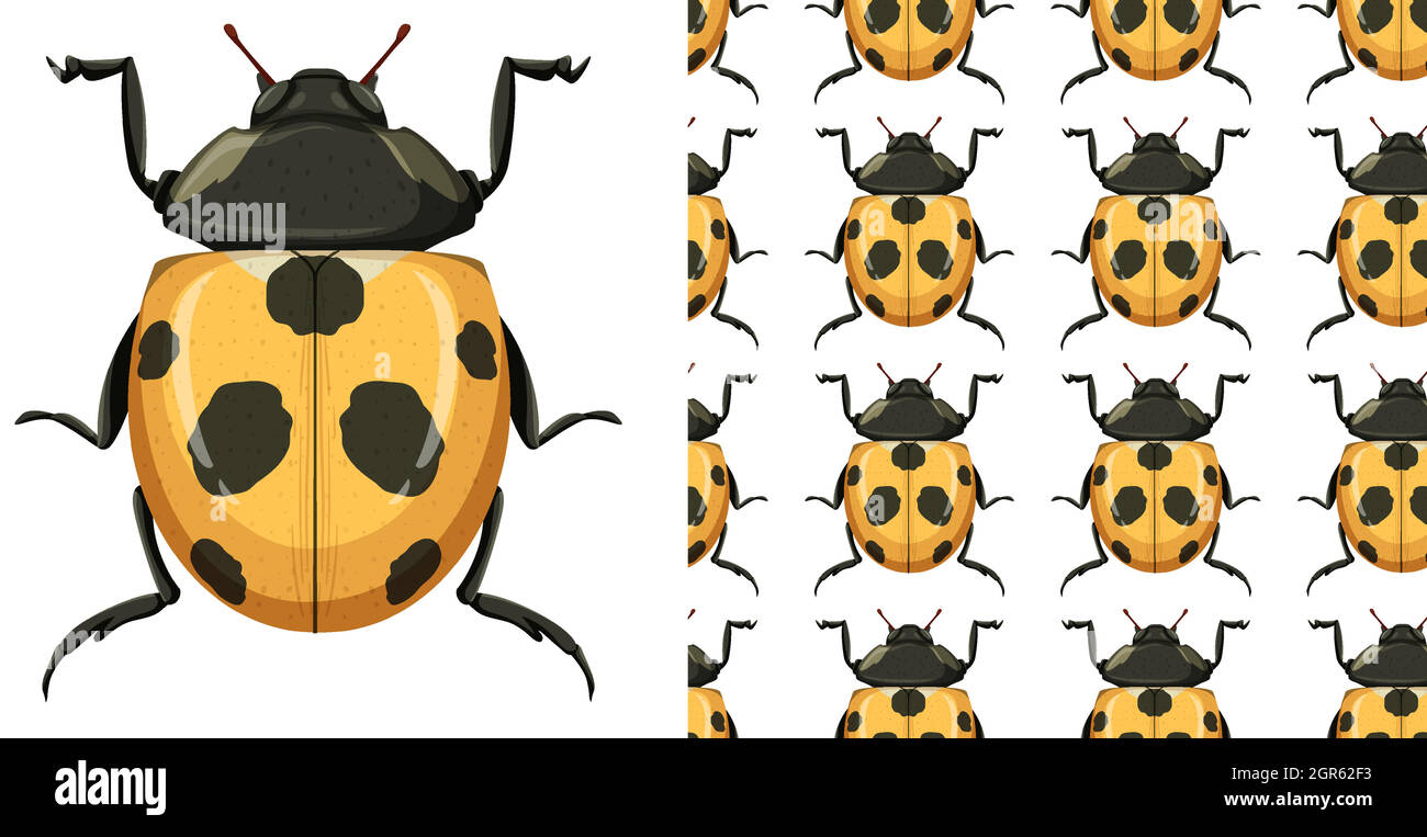 Ladybug insect and seamless background Stock Vector Image & Art - Alamy