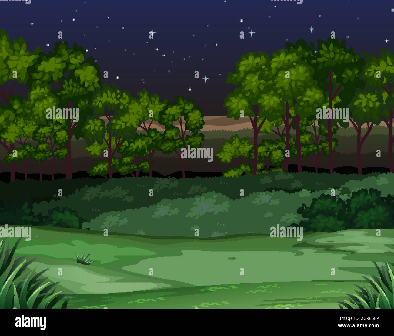 Nature scene at night Stock Vector Image & Art - Alamy
