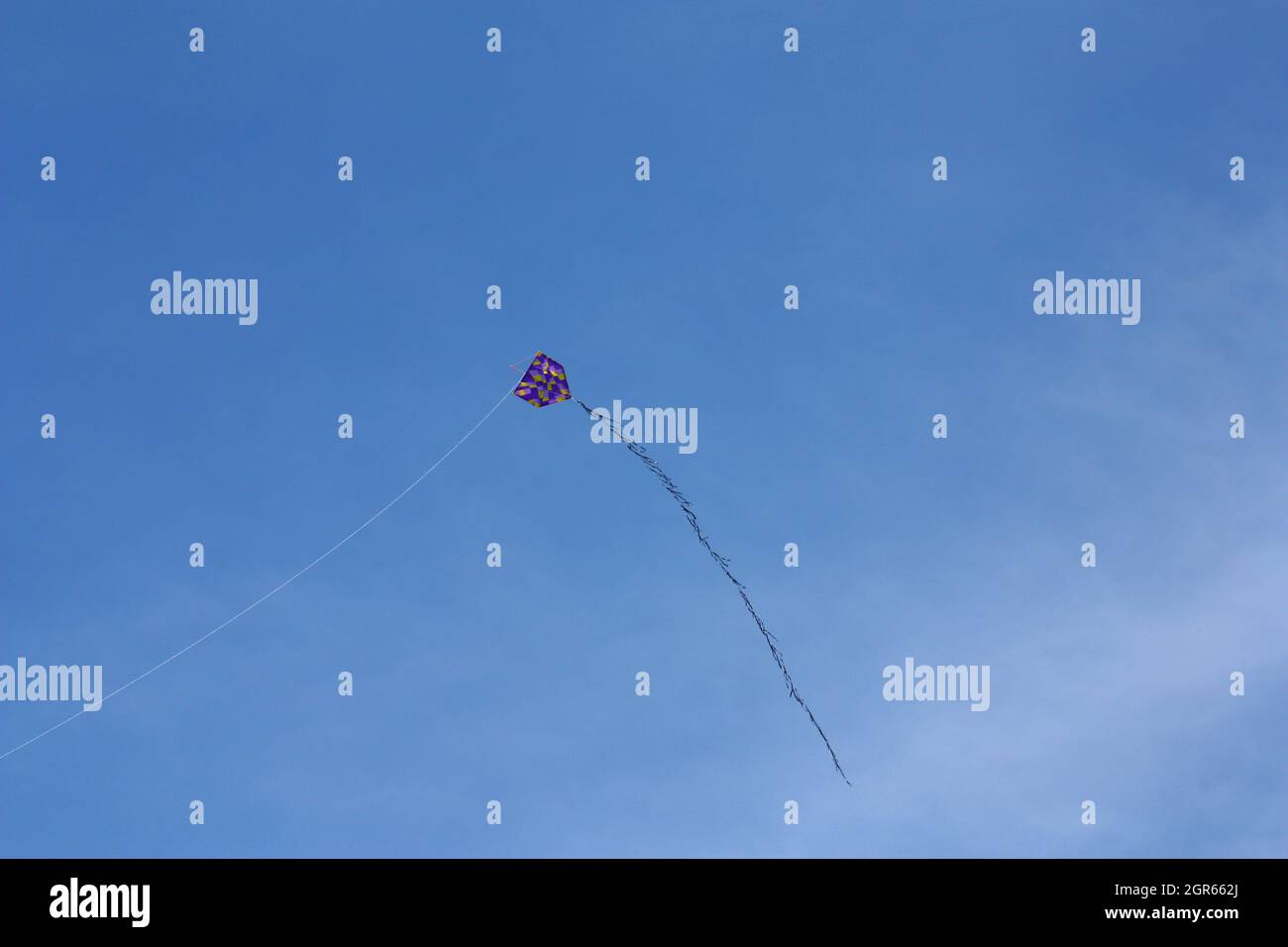 Flying dog trail hi-res stock photography and images - Alamy