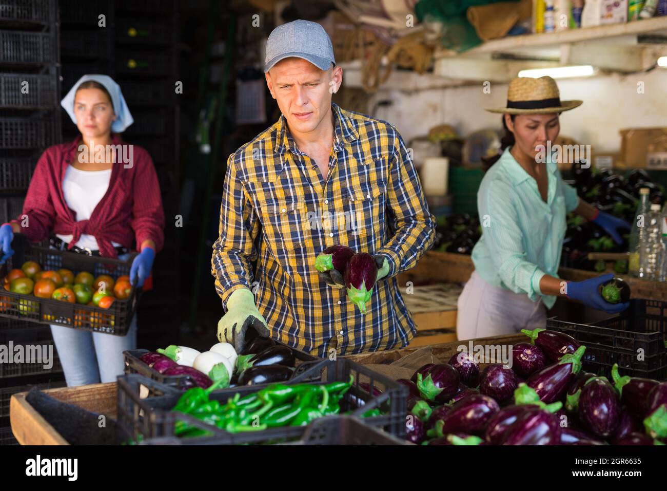 Two women and one man working in warehouse Stock Photo - Alamy