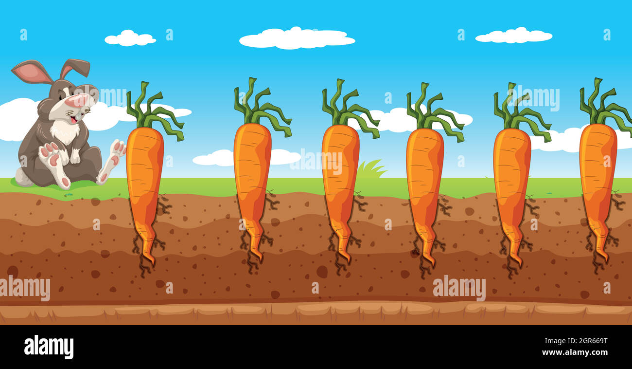 A Bunny in Carrot Farm Stock Vector Image & Art - Alamy