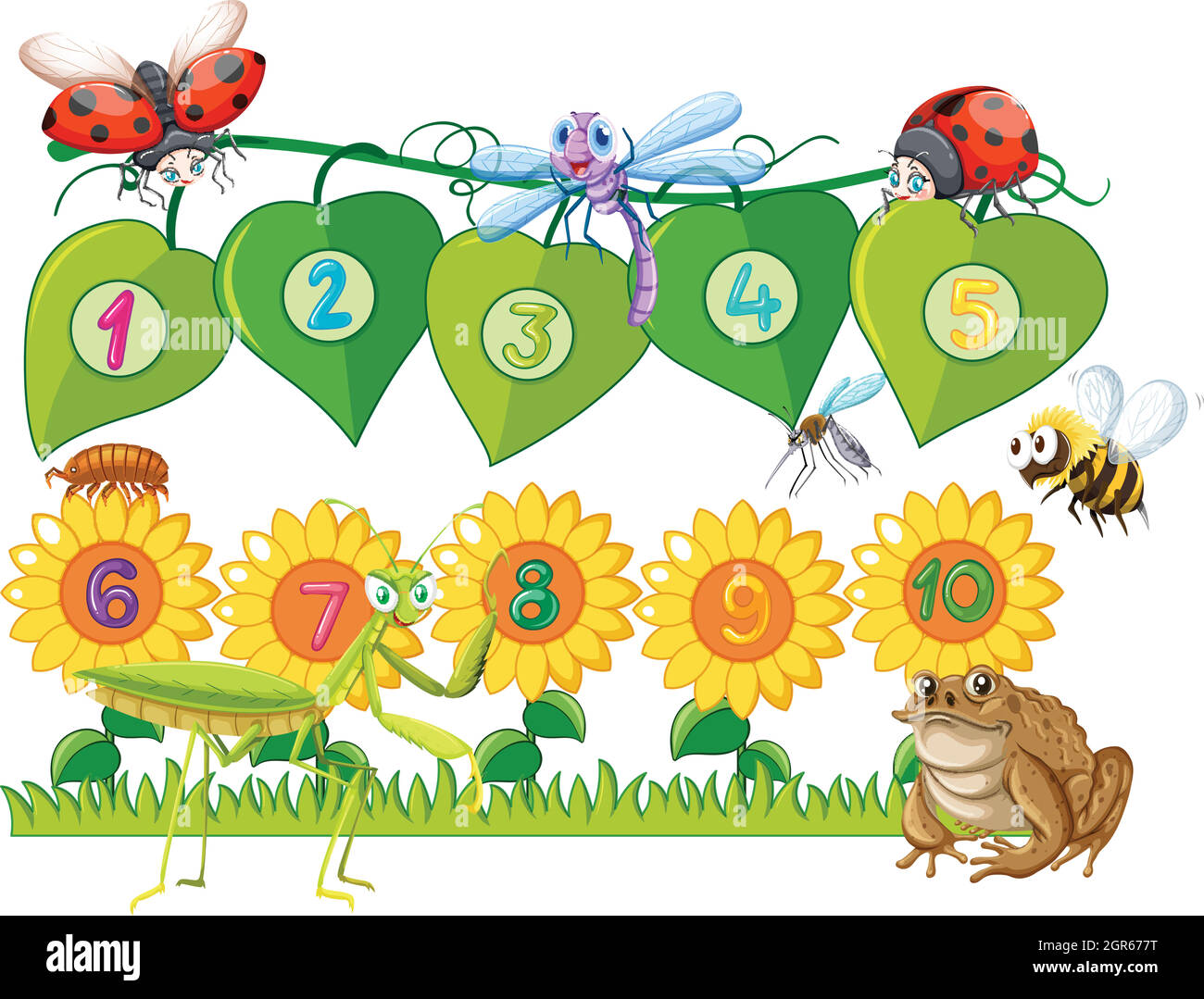 Number five flowers hi-res stock photography and images - Alamy