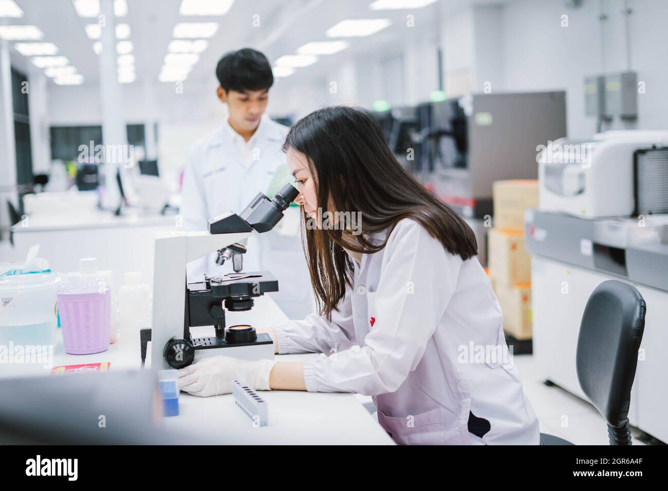 Adult specimen hi-res stock photography and images - Alamy