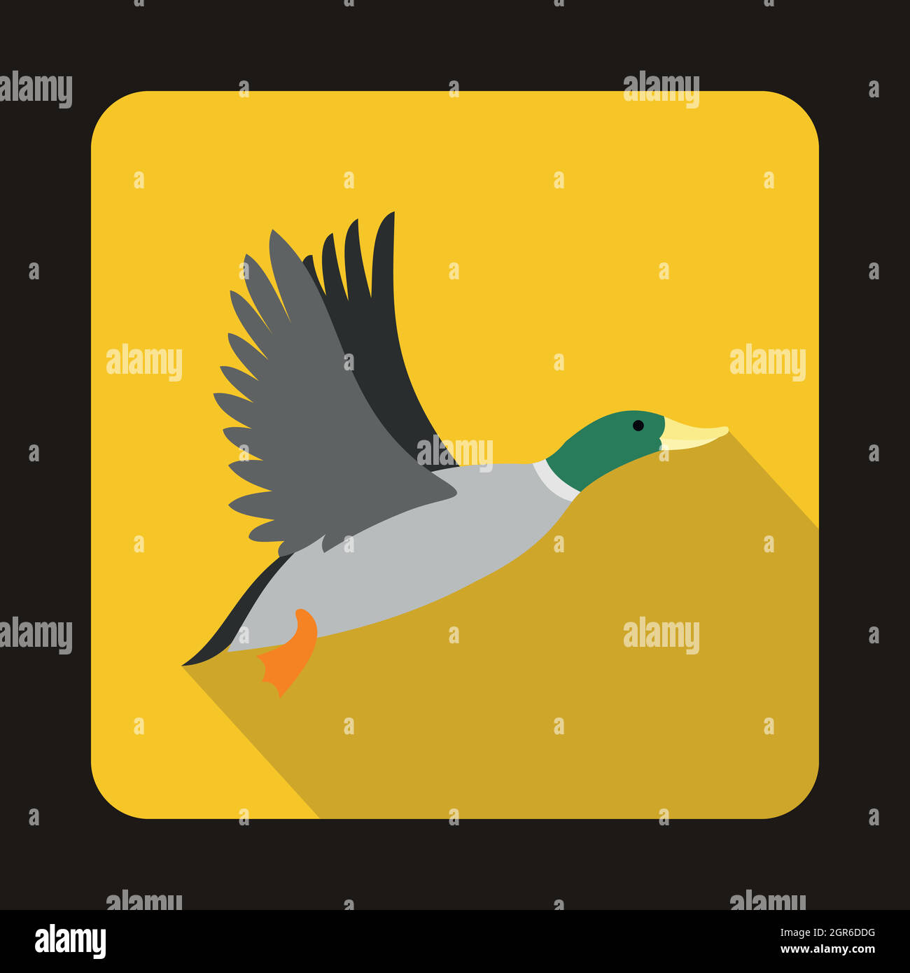 Mallard flying Stock Vector Images - Alamy