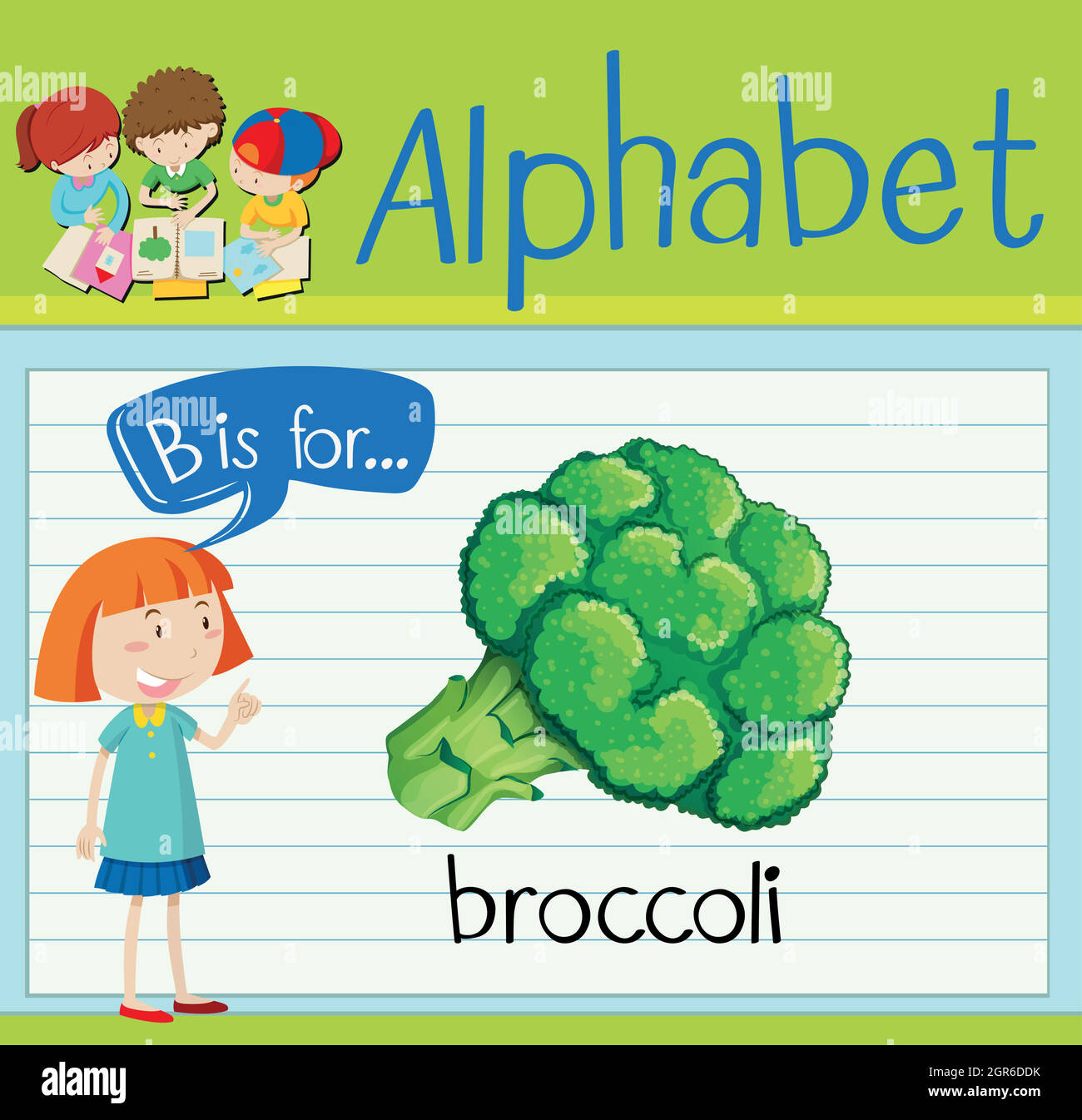 Flashcard letter B is for broccoli Stock Vector Image & Art - Alamy