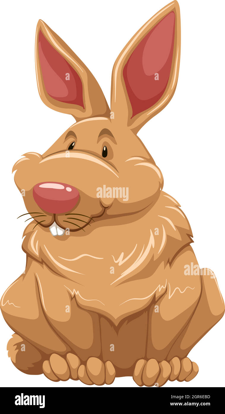 White rabbit teeth Stock Vector Images - Alamy