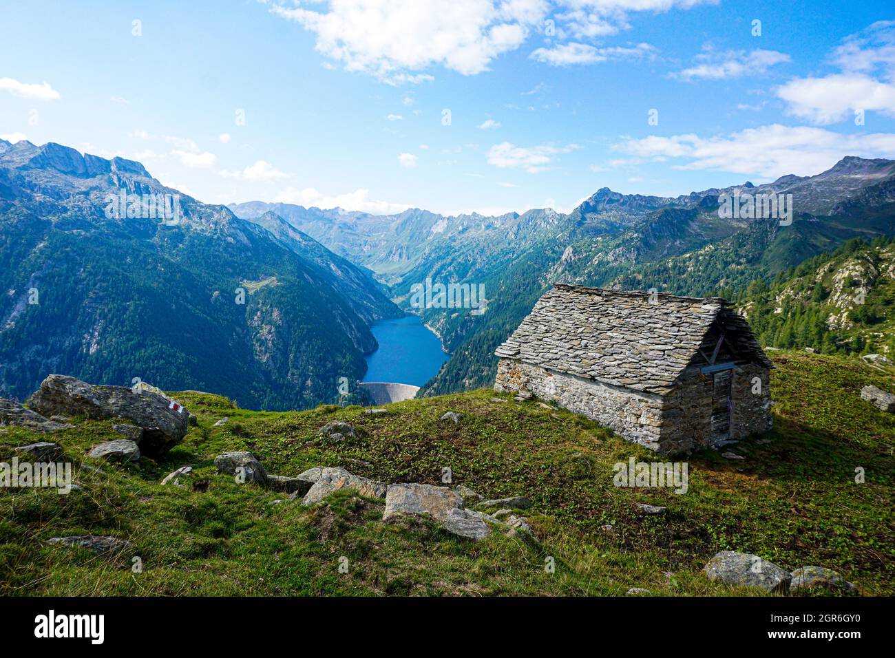 Sambuco di sambuco hi-res stock photography and images - Alamy