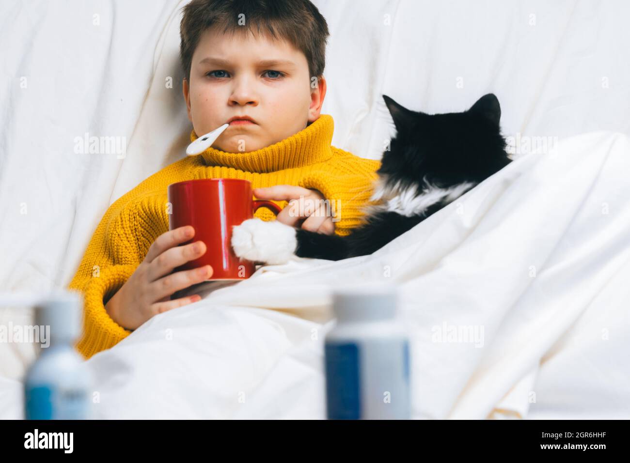 Cat sweater mouth hi-res stock photography and images - Alamy