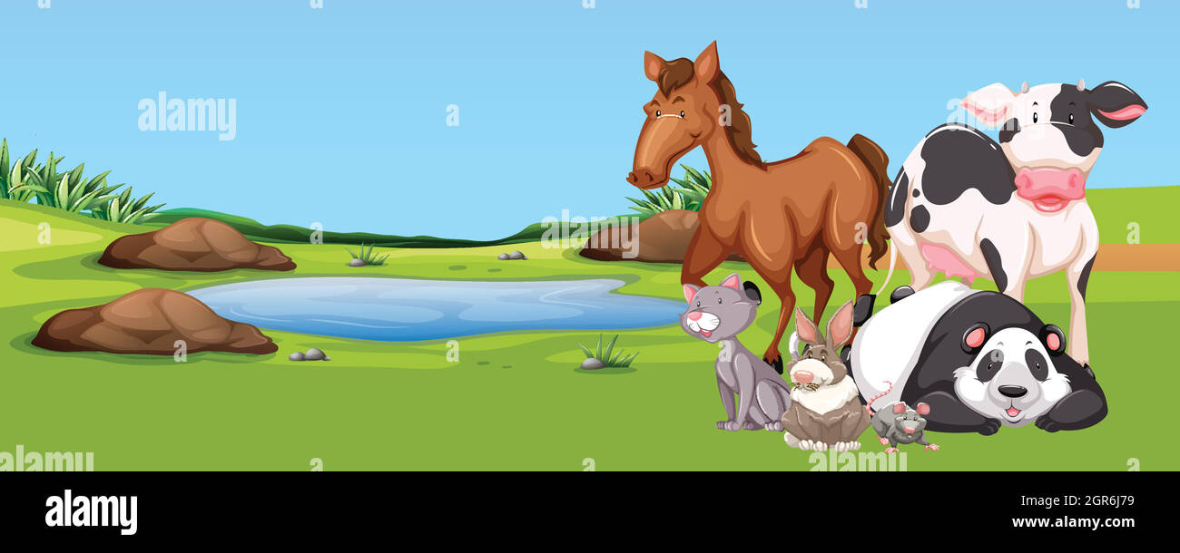 Pond grass Stock Vector Images - Alamy