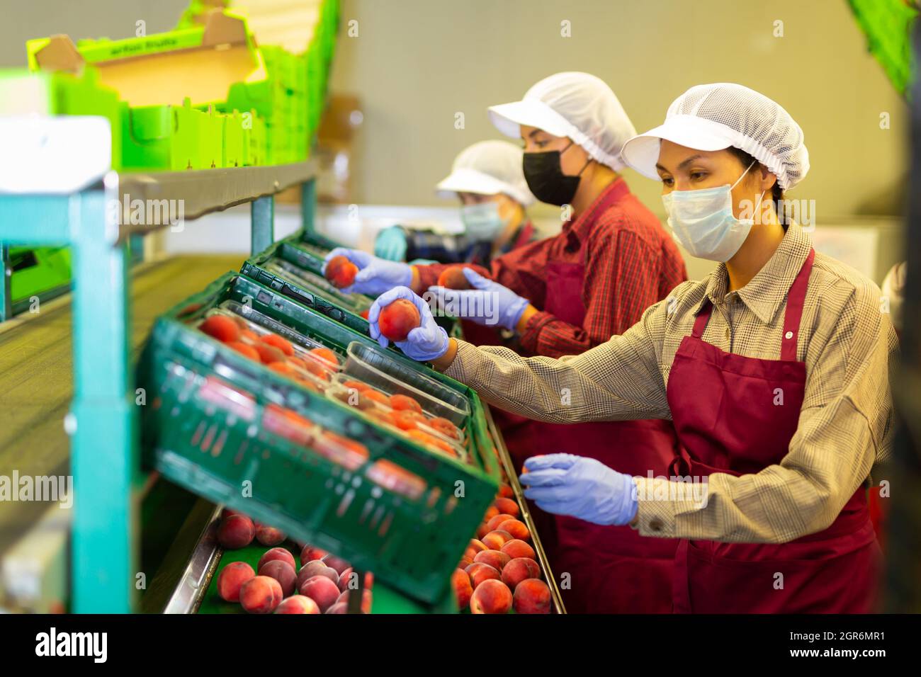 Women with mask sorting peaches Stock Photo - Alamy