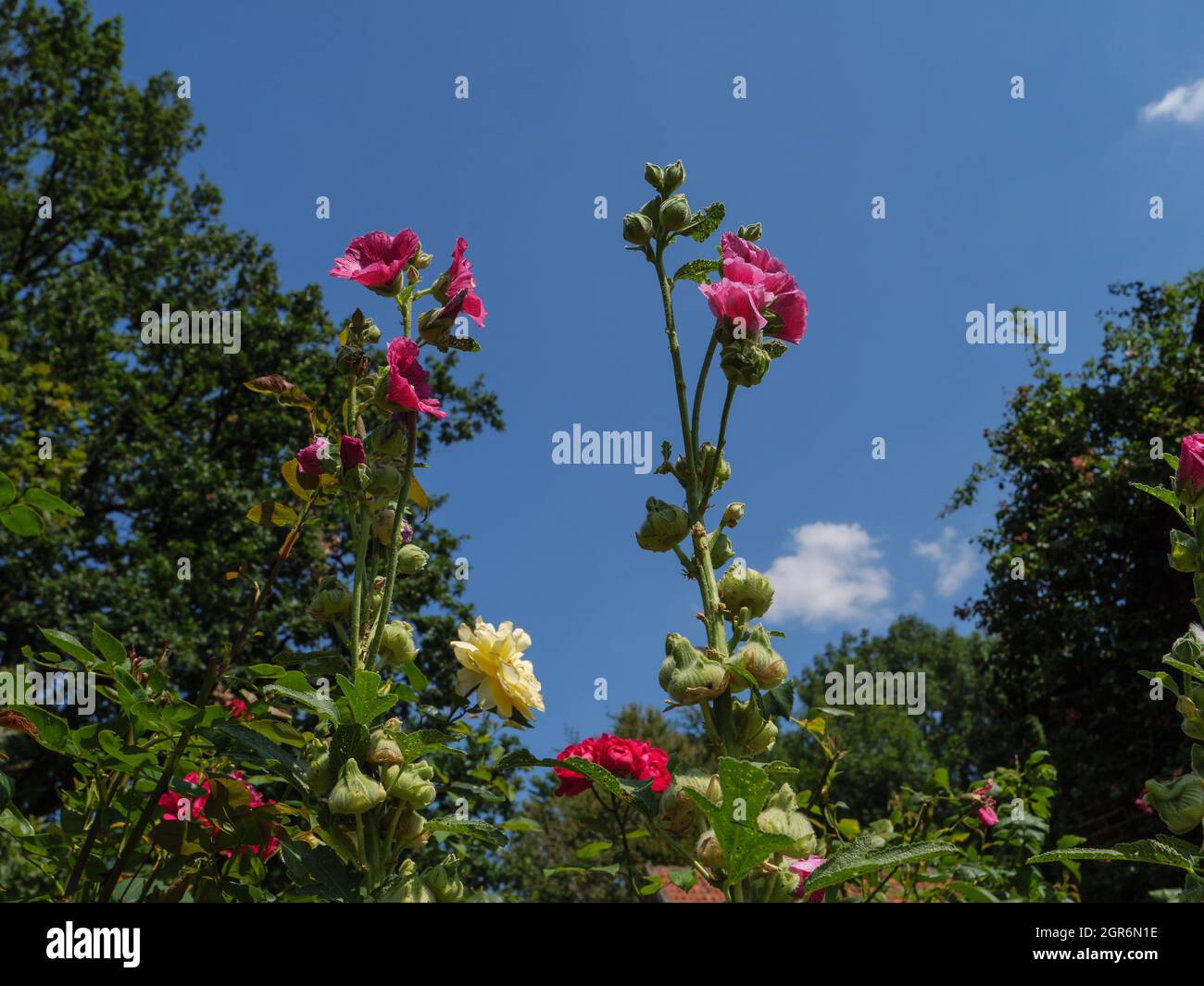 Ochtrup High Resolution Stock Photography and Images - Alamy