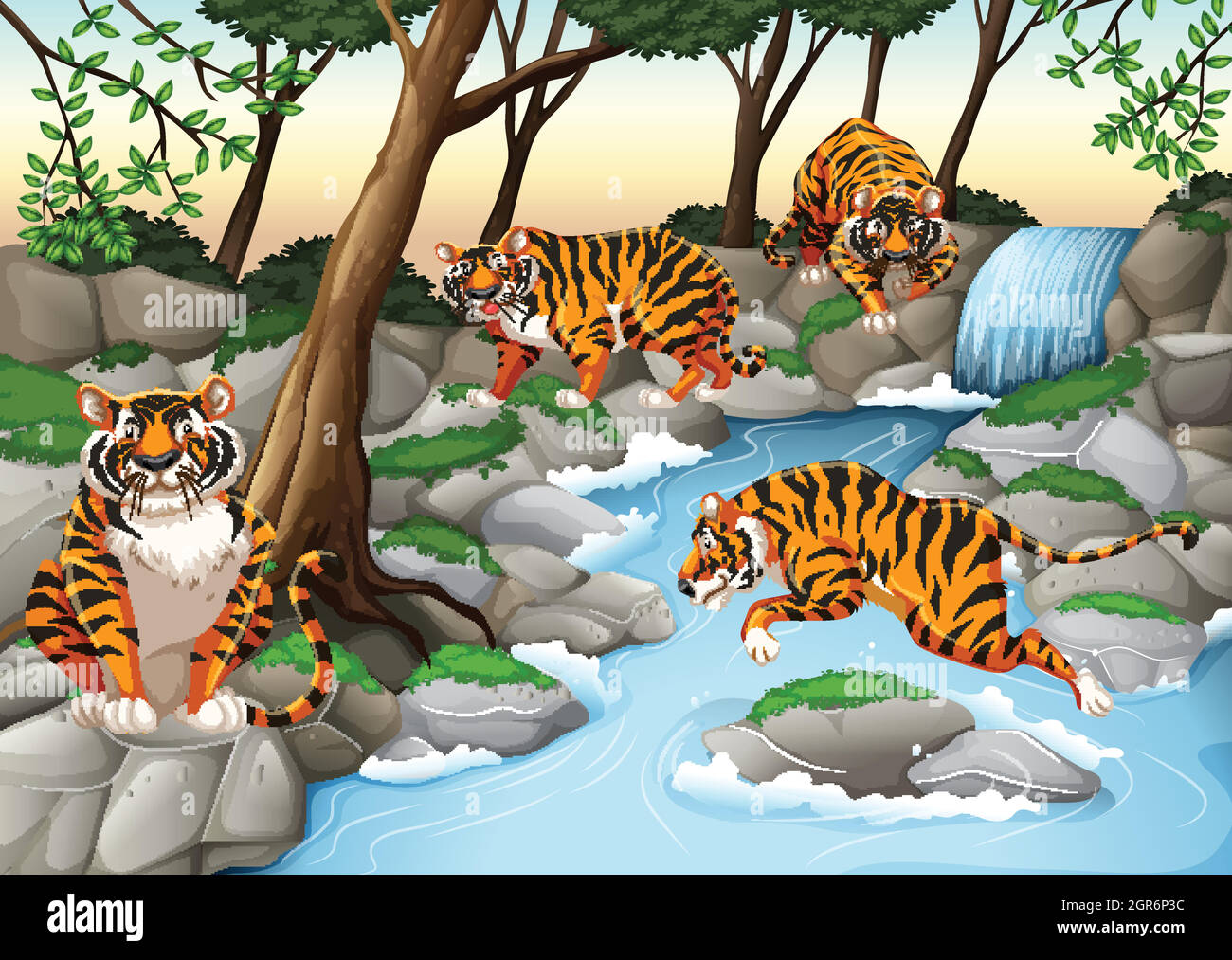 Four tigers hi-res stock photography and images - Alamy