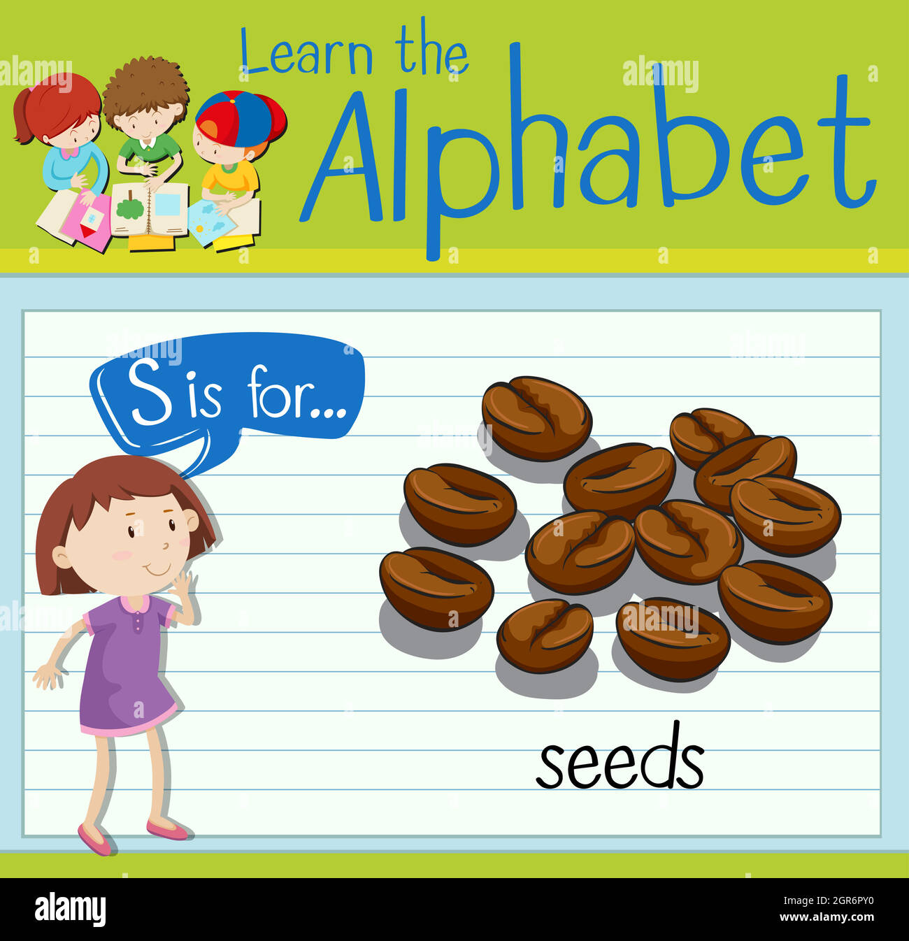 Flashcard letter S is for seeds Stock Vector Image & Art - Alamy