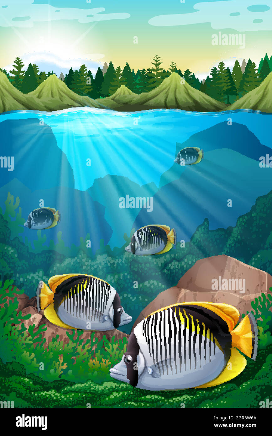 Underwater scene fish swimming illustration hi-res stock photography ...
