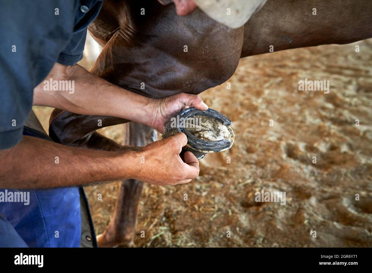 Farrier working on a horse hoof hi-res stock photography and images - Alamy