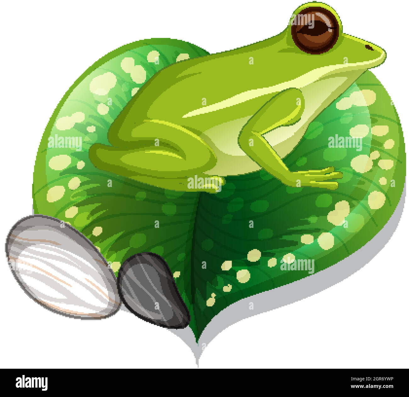 Small frog on leaf Cut Out Stock Images & Pictures - Alamy